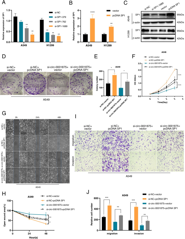吉玛基因siRNA/miRNA相关产品、双荧光素酶质粒及fish探针助力非小细胞肺癌相关研究医药新闻-ByDrug-一站式医药资源共享中心-医药魔方