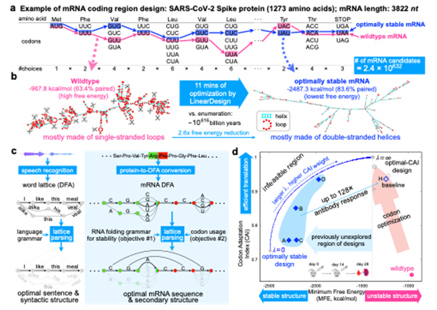 药谷药闻 | AI首次赋能mRNA疫苗与药物研发医药新闻-ByDrug-一站式医药资源共享中心-医药魔方
