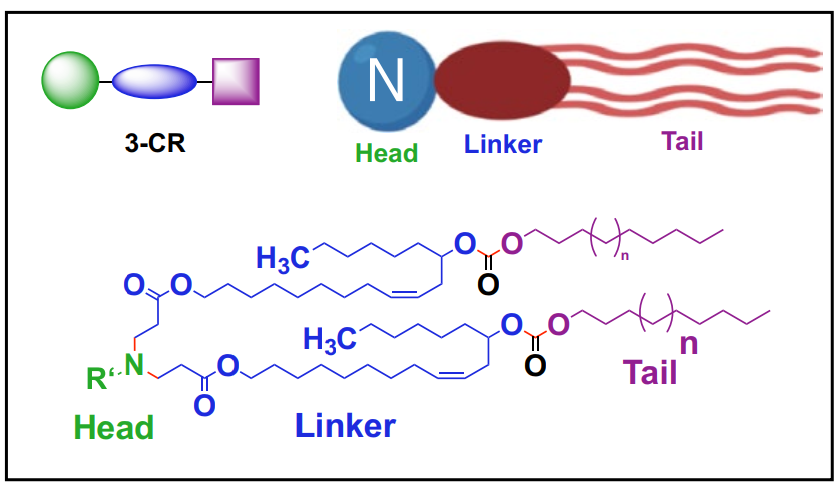 新型LNP载体来了！吸入后，实现肺部高效mRNA递送及基因编辑 | Nature Biotechnology医药新闻-ByDrug-一站式医药 ...