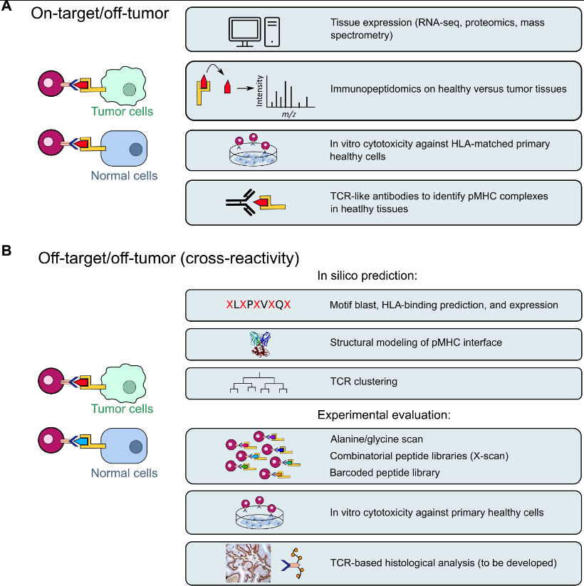 TCR-T治疗实体瘤的挑战与前景医药新闻-ByDrug-一站式医药资源共享中心-医药魔方
