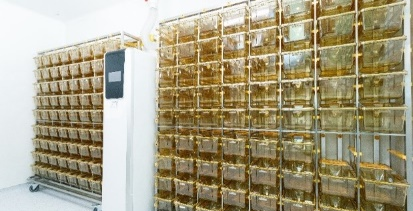 百济神州生物岛创新中心（BIC）医药新闻-ByDrug-一站式医药资源共享中心-医药魔方