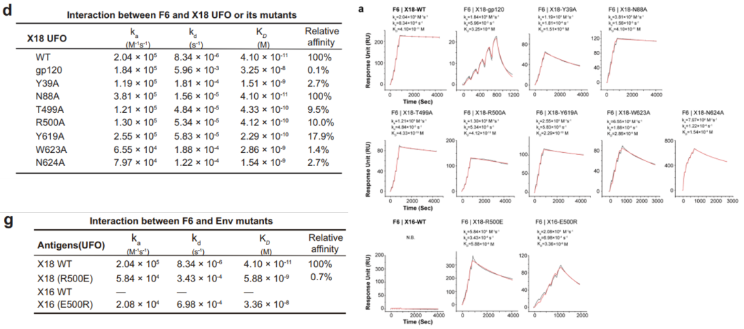 向HIV说拜拜：Biacore助力艾滋病研究取得突破性进展医药新闻-ByDrug-一站式医药资源共享中心-医药魔方
