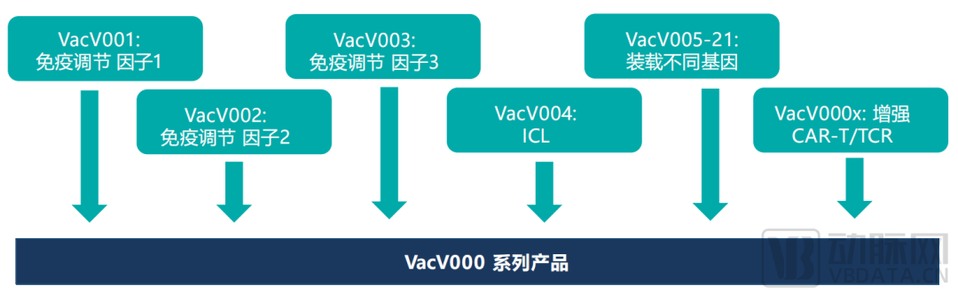 比邻星企业新闻 | 深耕20余年，微可蔚VacV推出突破性溶瘤病毒药物平台医药新闻-ByDrug-一站式医药资源共享中心-医药魔方
