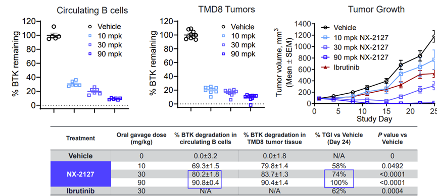 BTK PROTAC最新临床数据出炉医药新闻-ByDrug-一站式医药资源共享中心-医药魔方