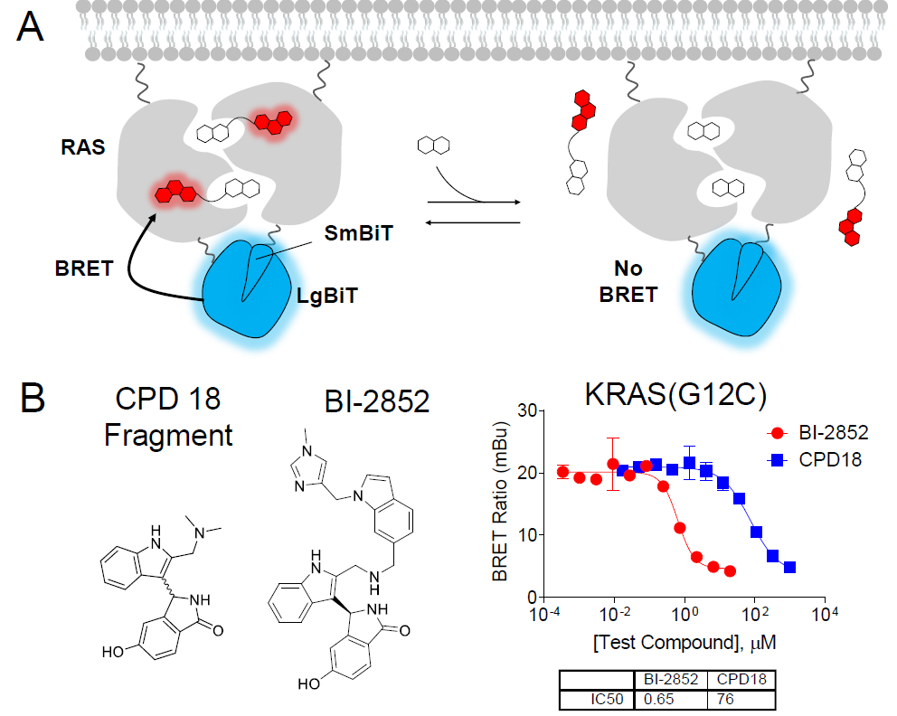技术 | 用于评估RAS通路及其SHP2等近端效应因子的靶标结合检测方法医药新闻-ByDrug-一站式医药资源共享中心-医药魔方