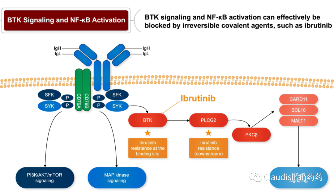 既治肿瘤也治多发性硬化症的BTK抑制剂医药新闻-ByDrug-一站式医药资源共享中心-医药魔方